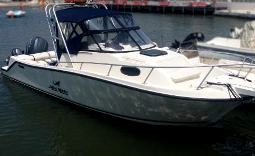 Scheda - Natanti, Propulsori, Carrelli, Gommoni.